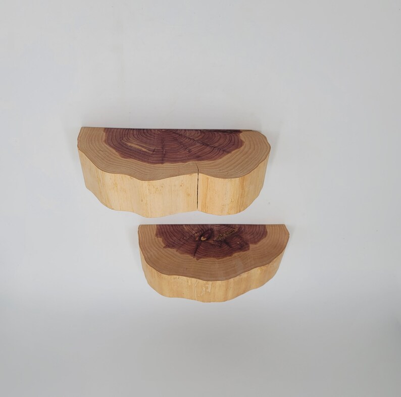 Tree Slice Sconces Split Matching Pair | Live Edge Floating Log Slices ...