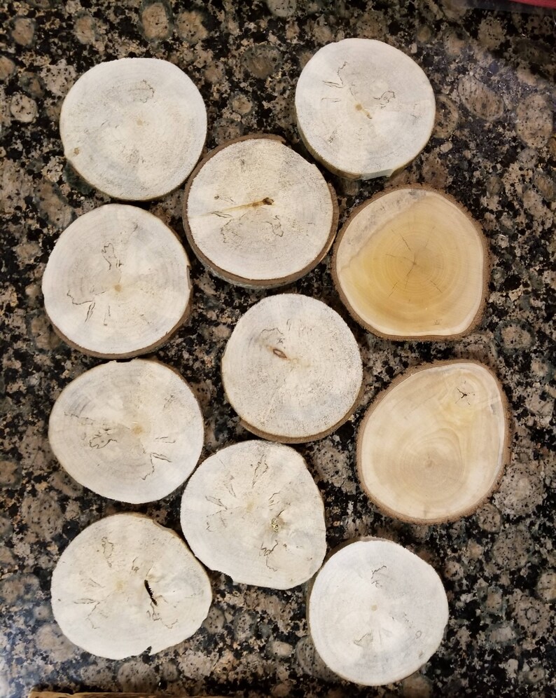 XL Wood Cookies 3-4" Log Slices | Rustic Wedding Party Wooden Name Tag ...