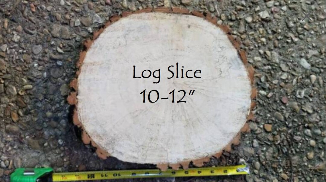 Log Slice Live Edge 10-12" | Rustic Centerpiece Base-plate Charger-wood ...