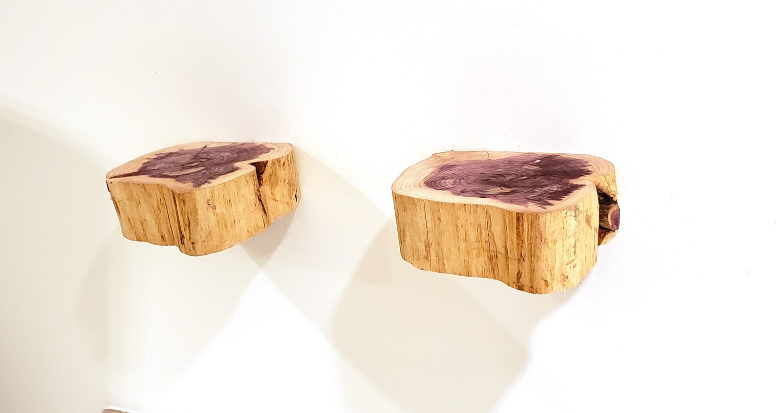 Tree Slice Sconces Matching Set of 3-7 Live Edge Floating | Etsy