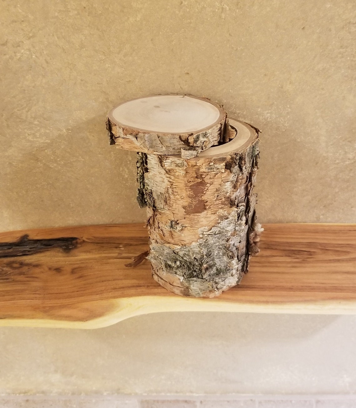 Hollow Log Box or Vase Rustic Desktop Storage Money Hideaway | Etsy