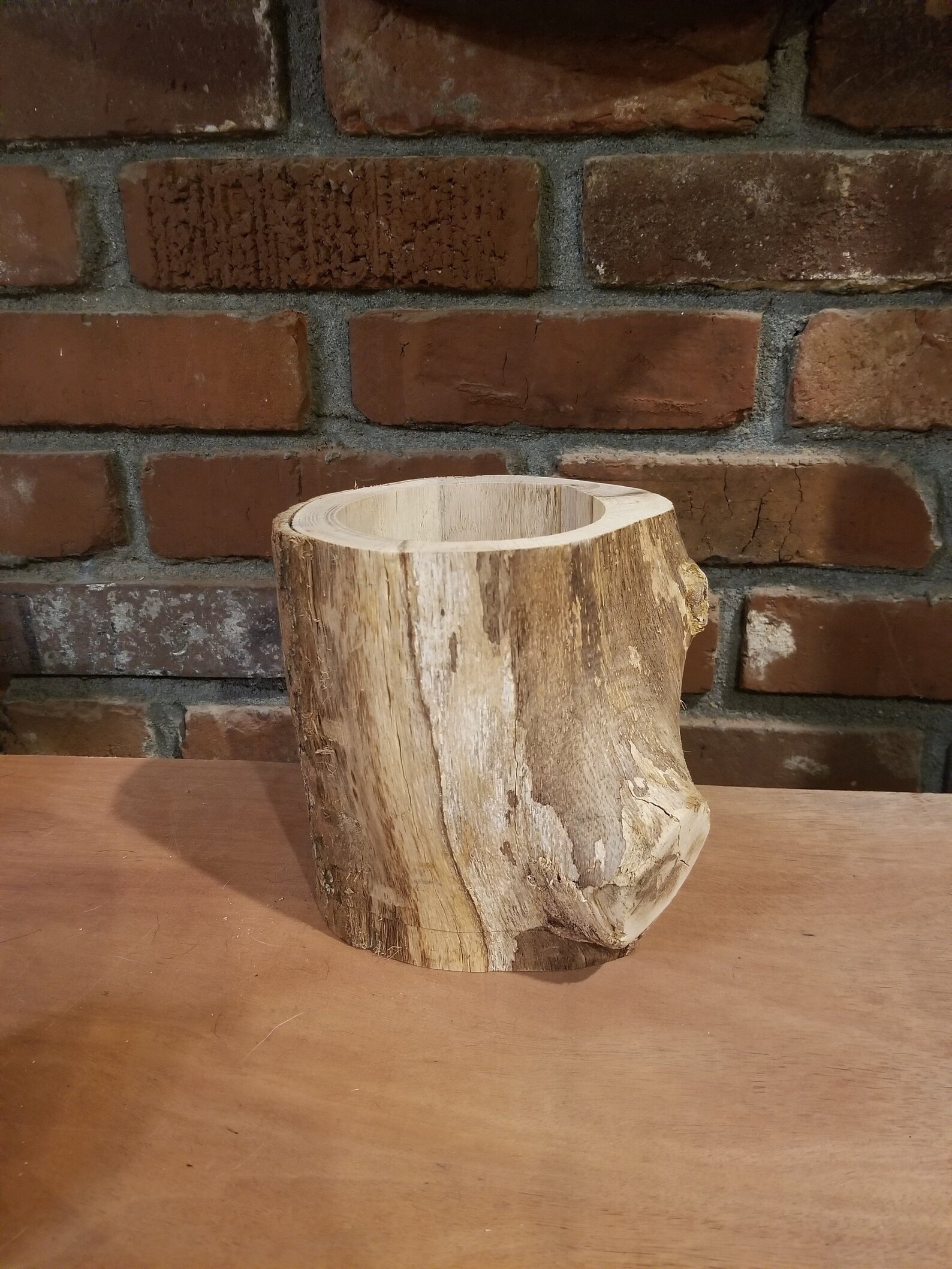 Log Vase Plant Holder | Water Resistant or Natural Hollowed Tree Indoor ...