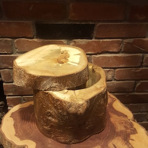 Hollowed Tree Stump With Lid | Wooden Tip Jar | Custom Wedding Gift ...