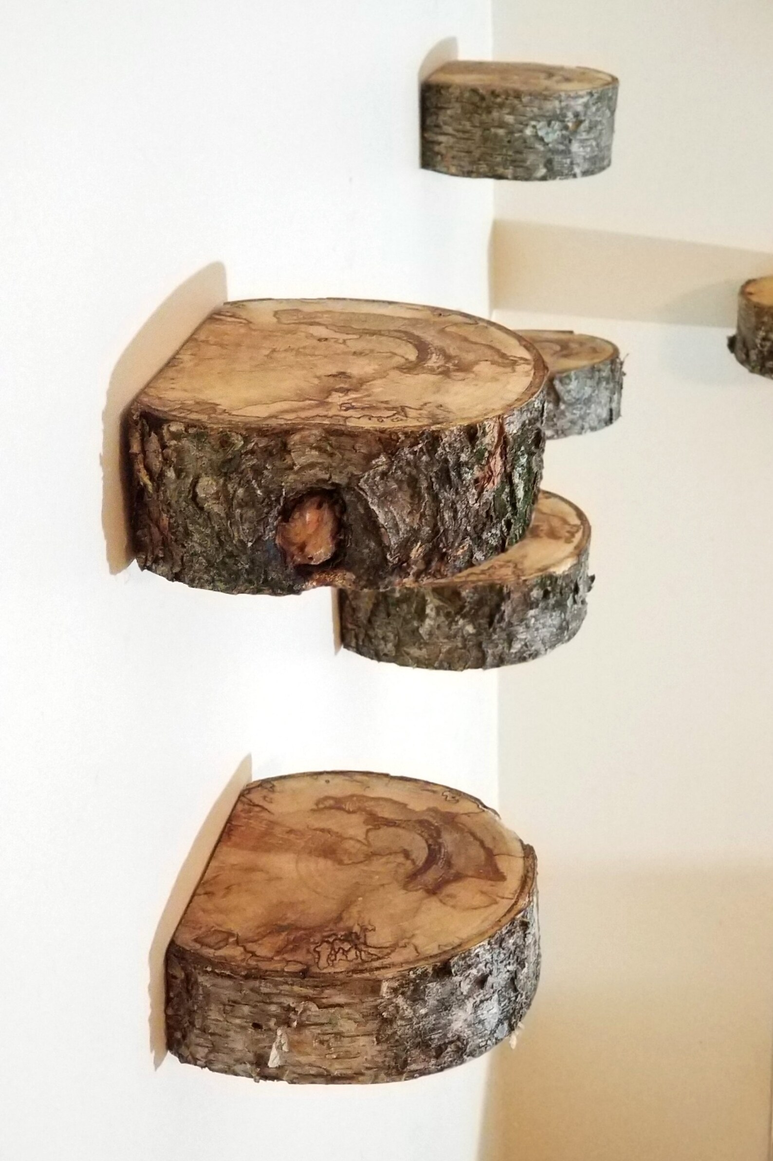 Live Edge Log Sconces Set W Keyhole Hanger Candle Picture - Etsy
