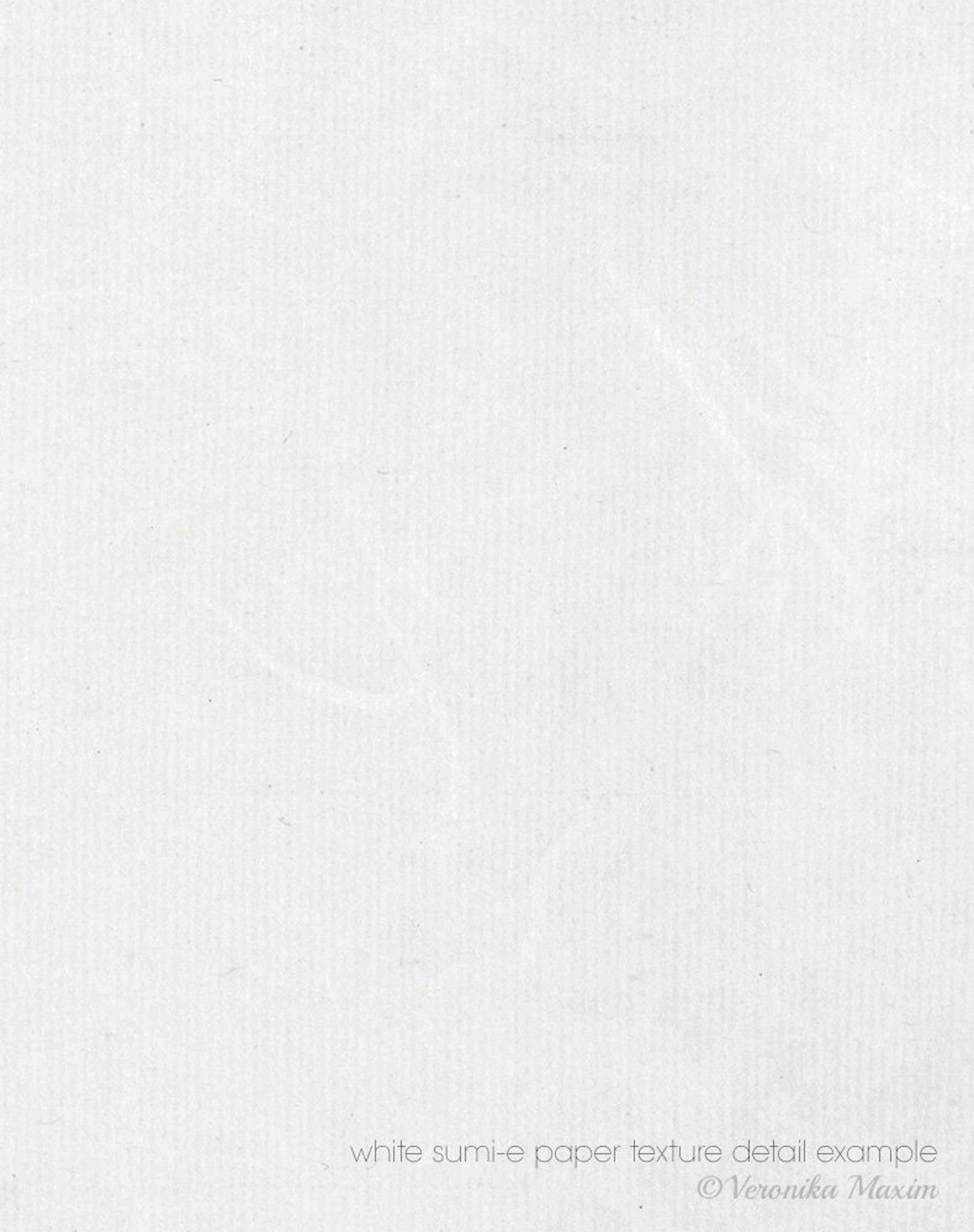 Original Sumi-e Ink on White Rice Paper Zen Painting of Gentle Sakura ...