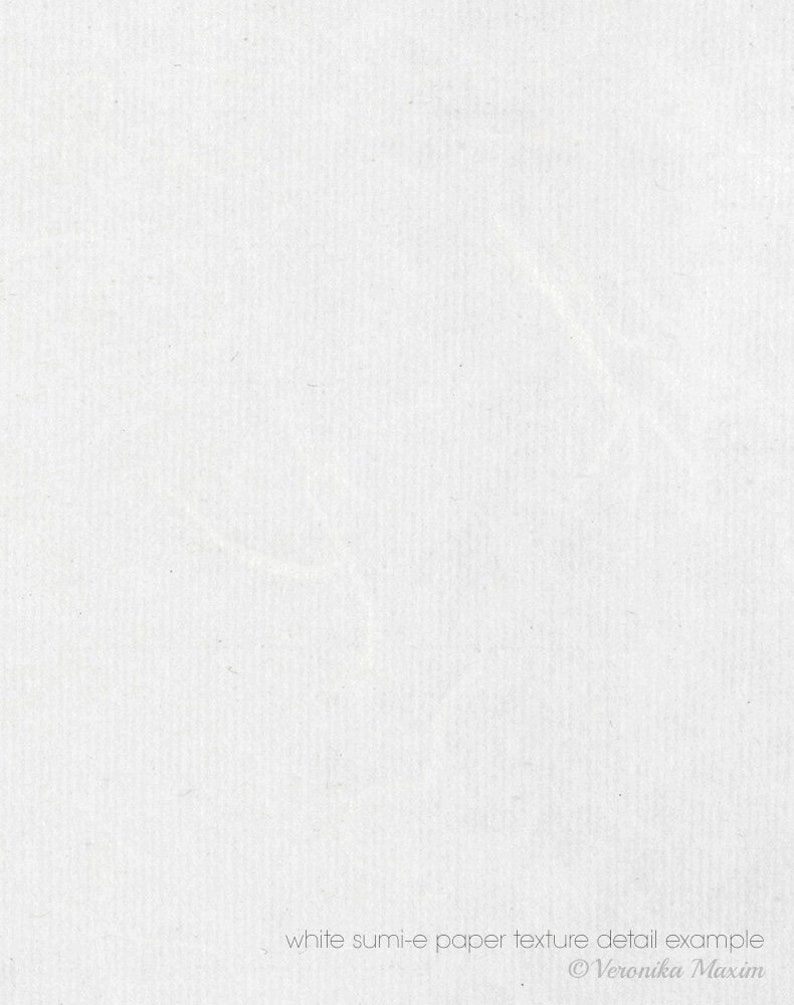 Original Sumi-e Ink on White Rice Paper Zen Painting of Wild Sakura ...