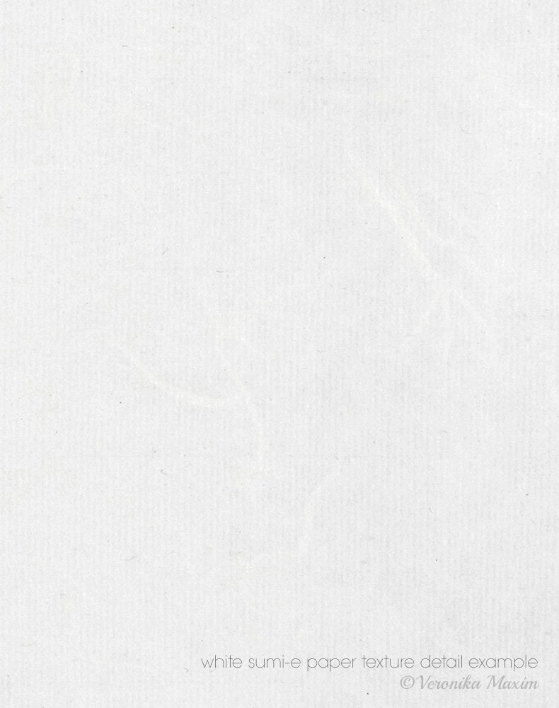 Original Sumi-e Ink on White Rice Paper Zen Painting of Gentle Sakura ...