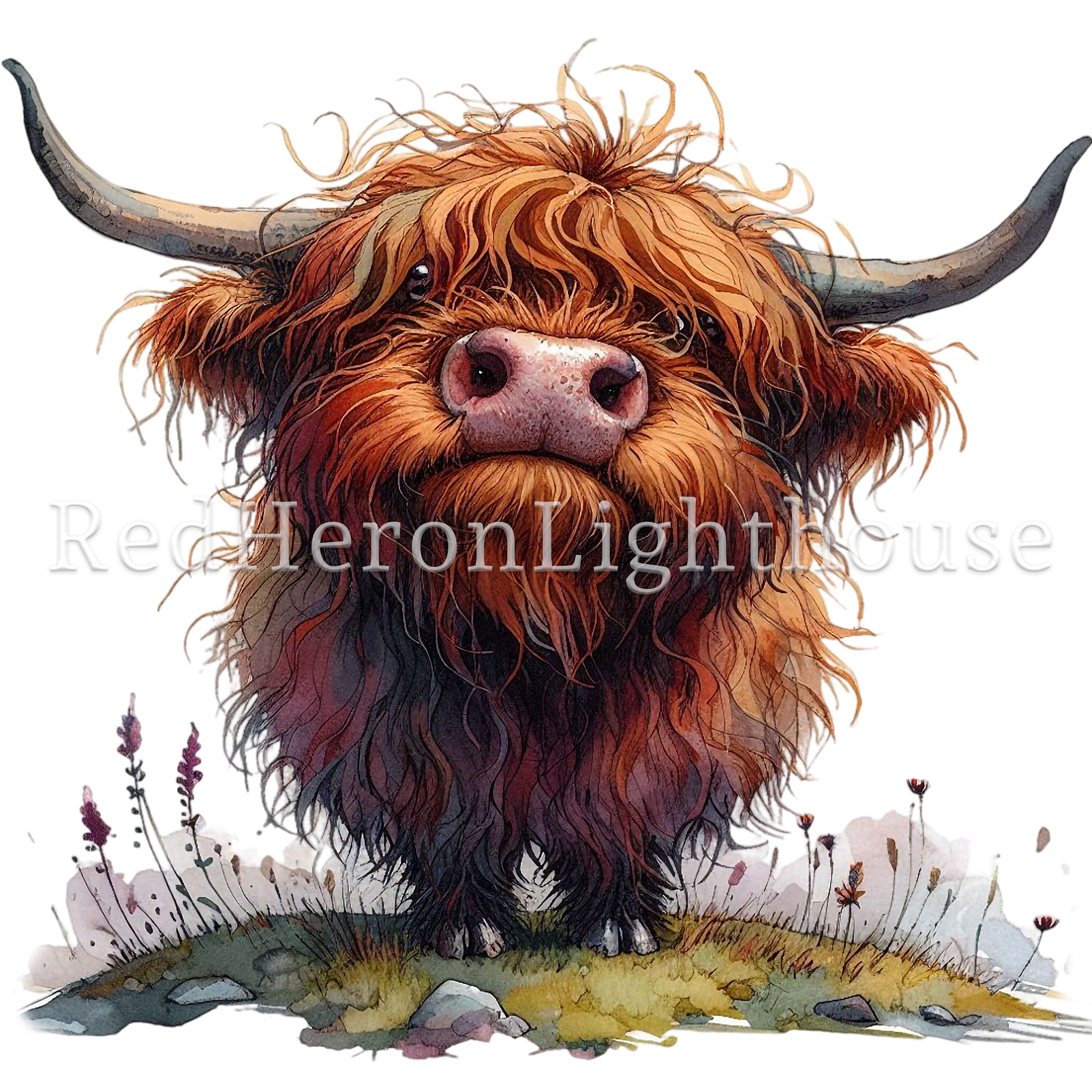 12 Cuddly Highland Cows Clipart Set, High Quality Designs, 12 Pngs/jpgs ...