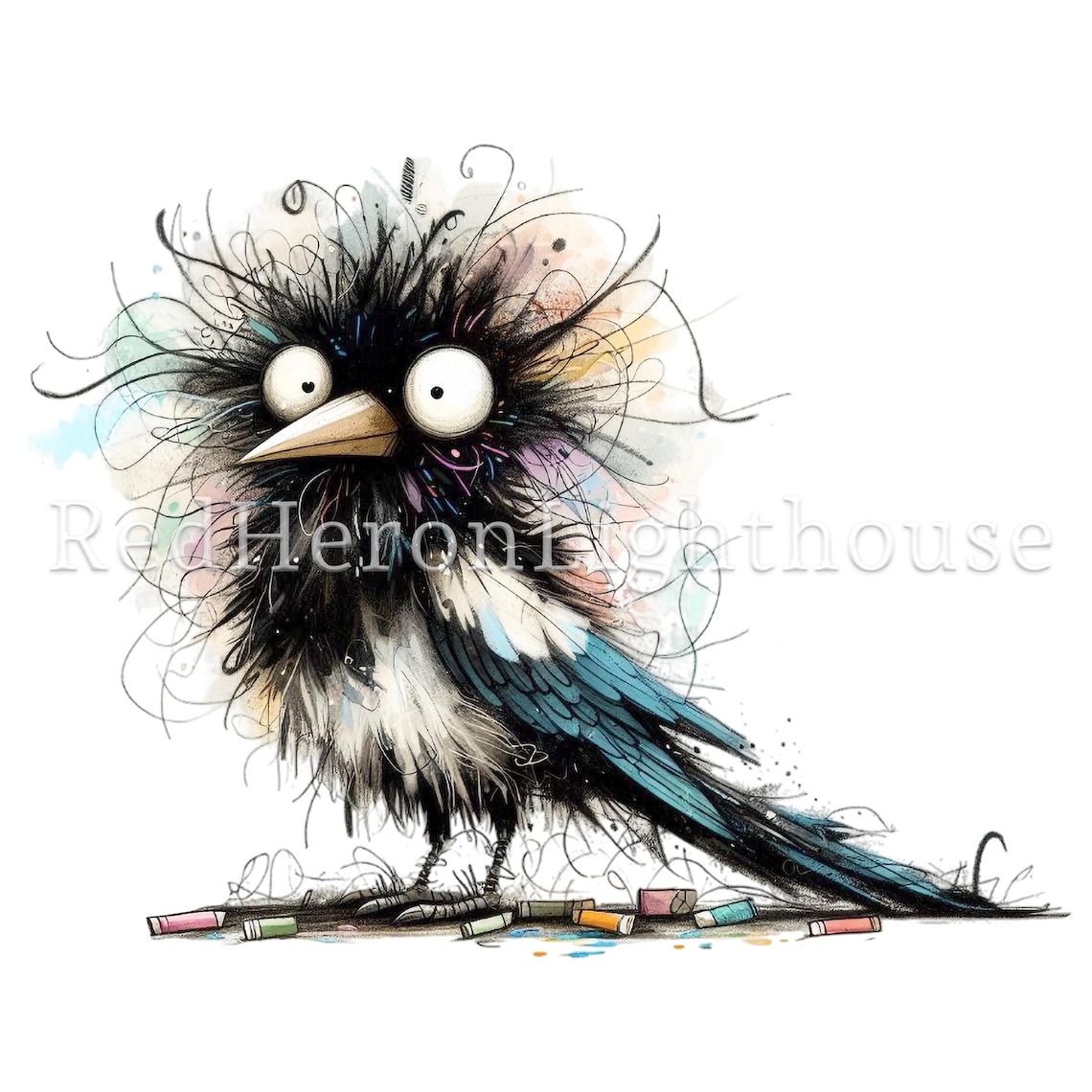 Scruffy Magpie Clipart, 12 High Quality Pngs/jpgs, Quirky Bird Images ...