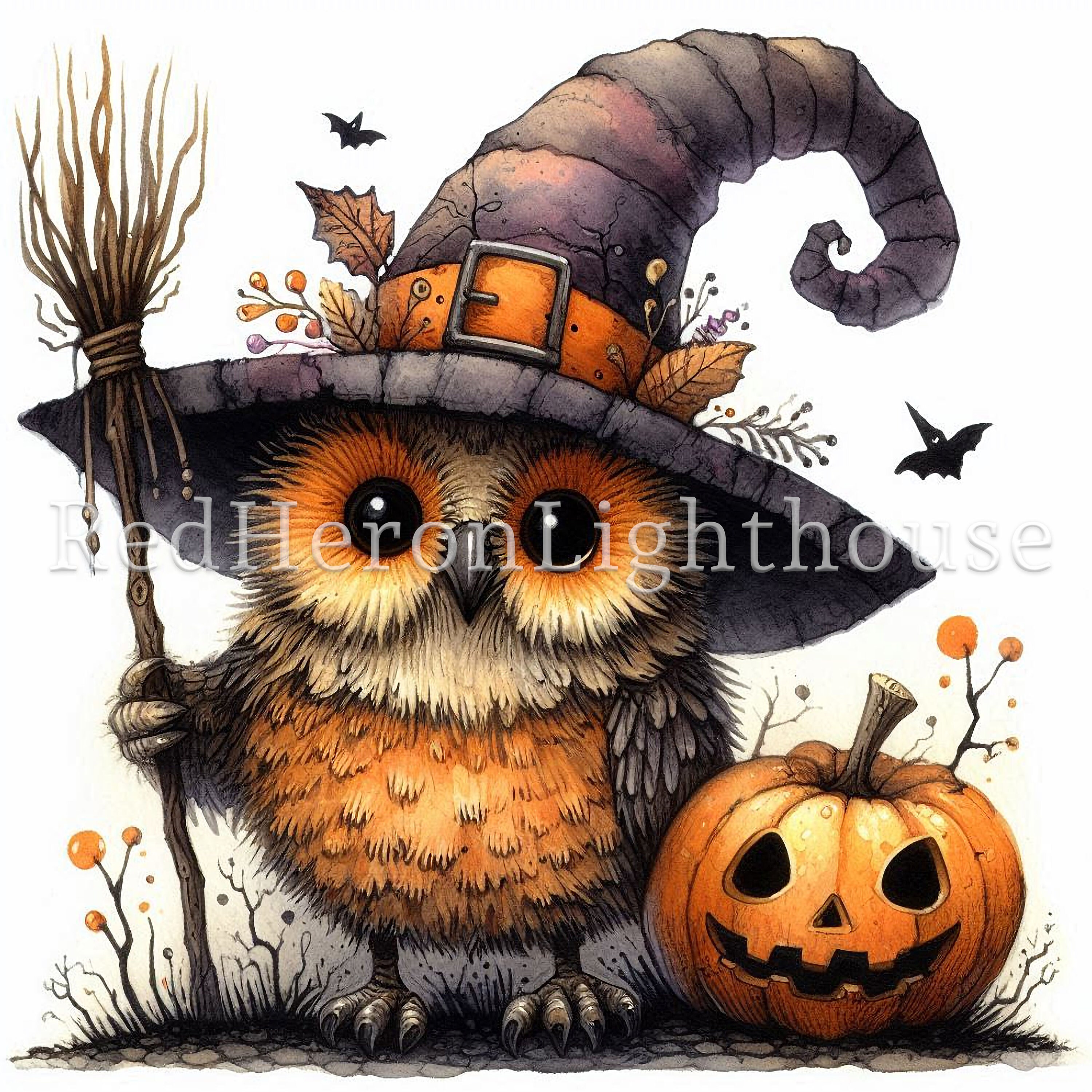 Halloween Owls Clipart 15 Pngs/jpgs, Funny Halloween Designs, Witch Hat ...