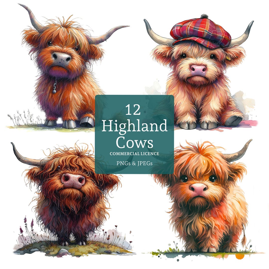 Cuddly Highland Cow Clipart, 12 High Quality Watercolour Pngs/jpgs ...