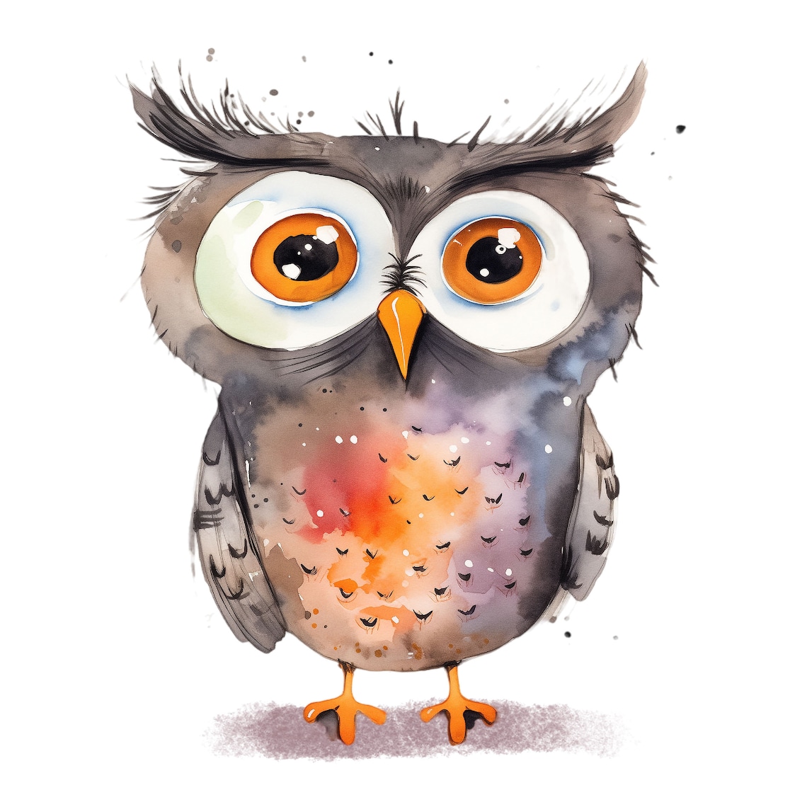 12 Scruffy Owls Clipart, High Quality Designs, 12 Pngs, Cute Funny Bird ...