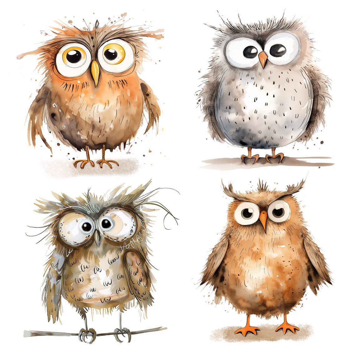 12 Scruffy Owls Clipart, High Quality Designs, 12 Pngs, Cute Funny Bird ...