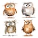 12 Scruffy Owls Clipart, High Quality Designs, 12 Pngs, Cute Funny Bird ...