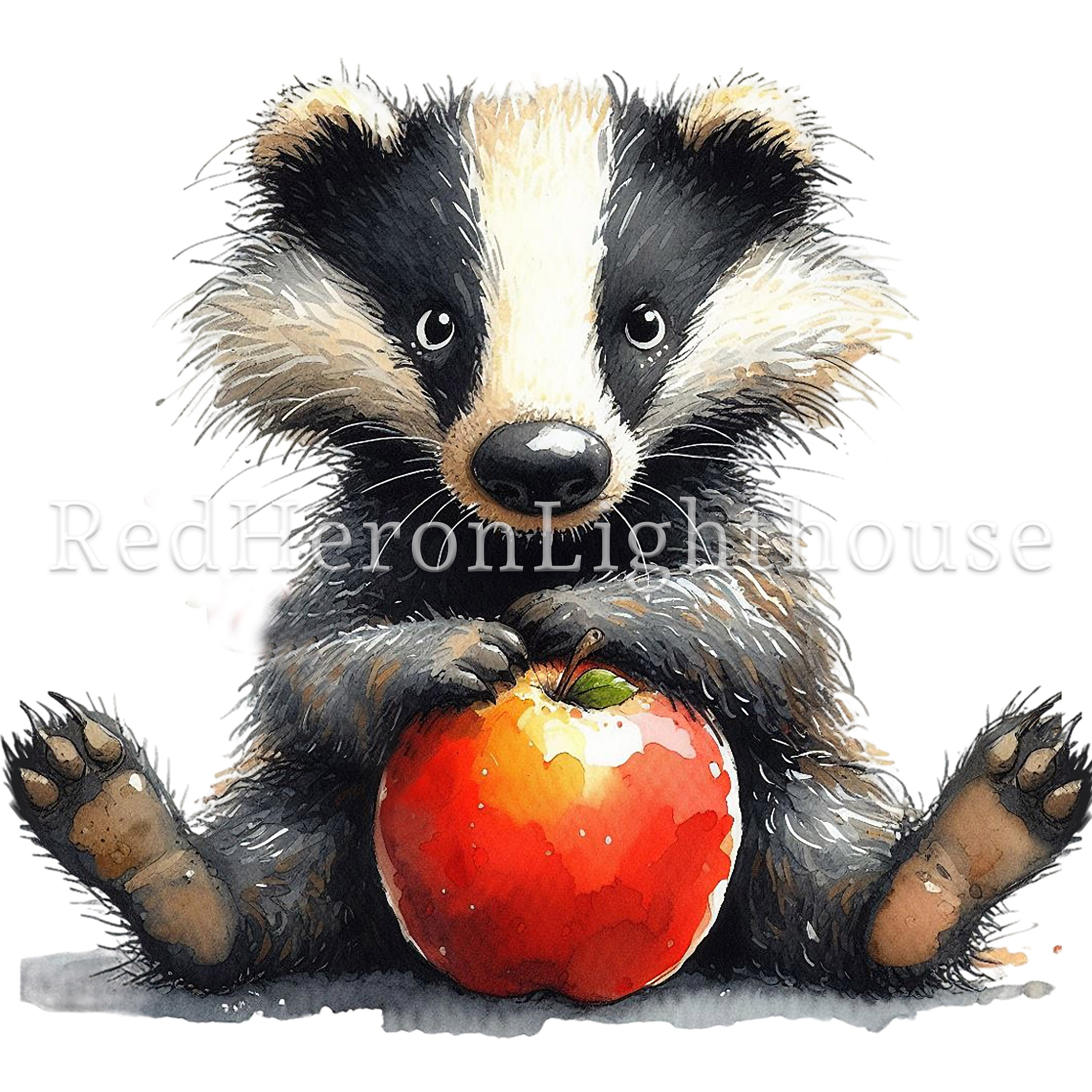 15 Cute Badgers Clipart Set, Pngs/jpgs, Funny Badgers, Adorable ...