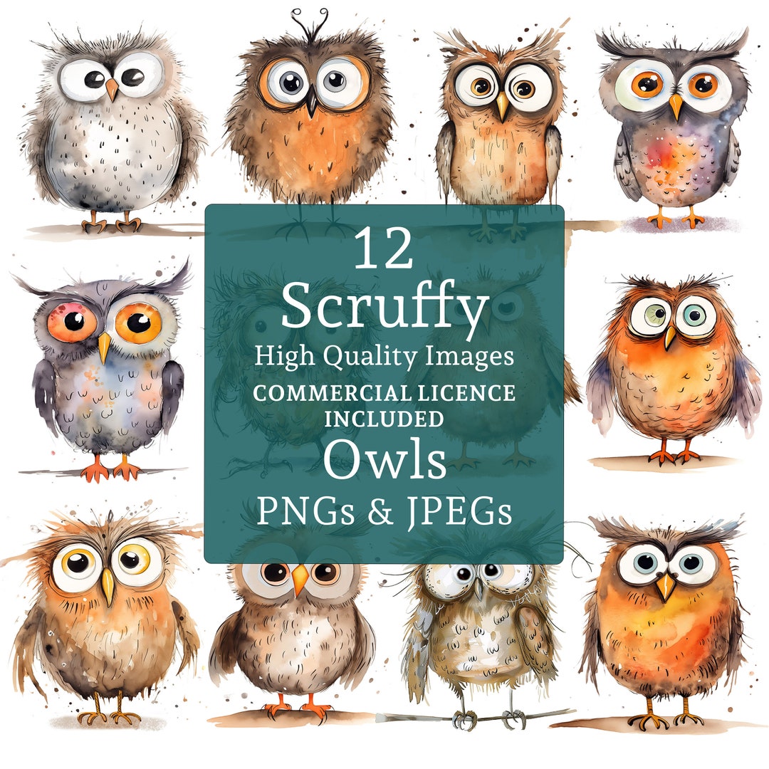 12 Scruffy Owls Clipart, High Quality Designs, 12 Pngs, Cute Funny Bird ...