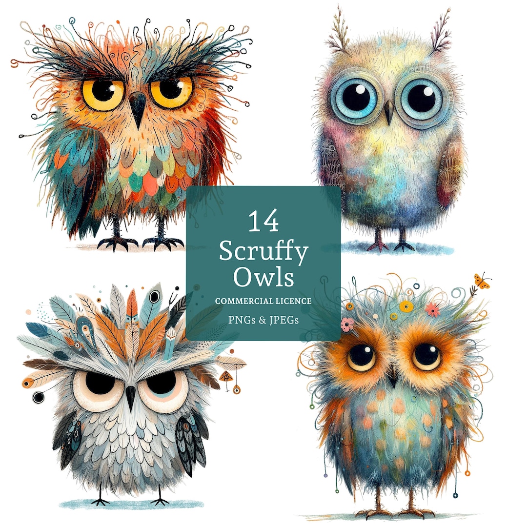 Scruffy Owl Clipart, 14 High Quality Pngs/jpgs, Colourful Owl Images ...