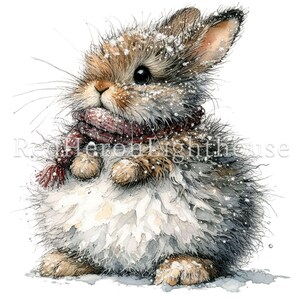 Winter Bunny Clipart, High Quality 25 Pngs/jpgs, Cute Baby Animal ...
