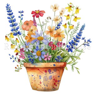 Whimsical Flower Pot Clipart 12 High Quality Pngs/jpgs Watercolour ...