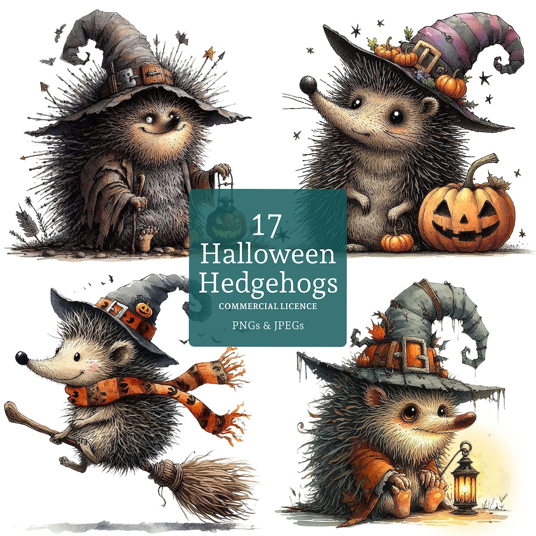 Halloween Hedgehog Clipart, 17 High Quality Pngs/jpgs, Cute Autumn ...