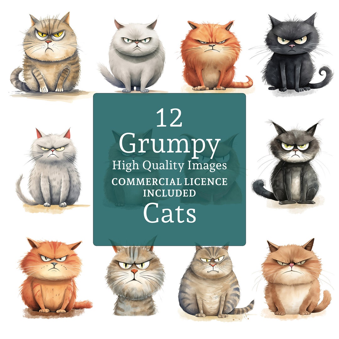 12 Funny Grumpy Cats Clipart, High Quality Designs, Angry Moody Cat ...