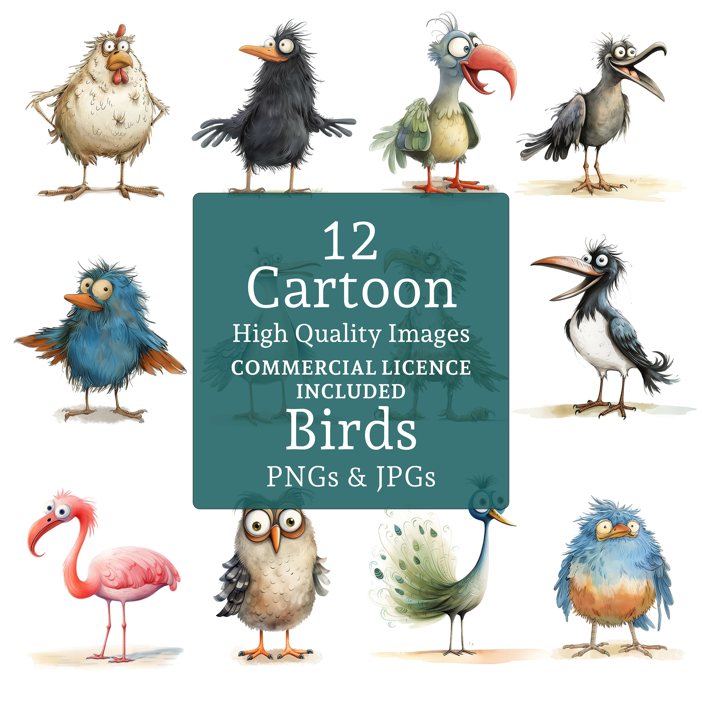12 Funny Cartoon Birds Clipart, High Quality Designs, 12 Pngs/jpgs ...