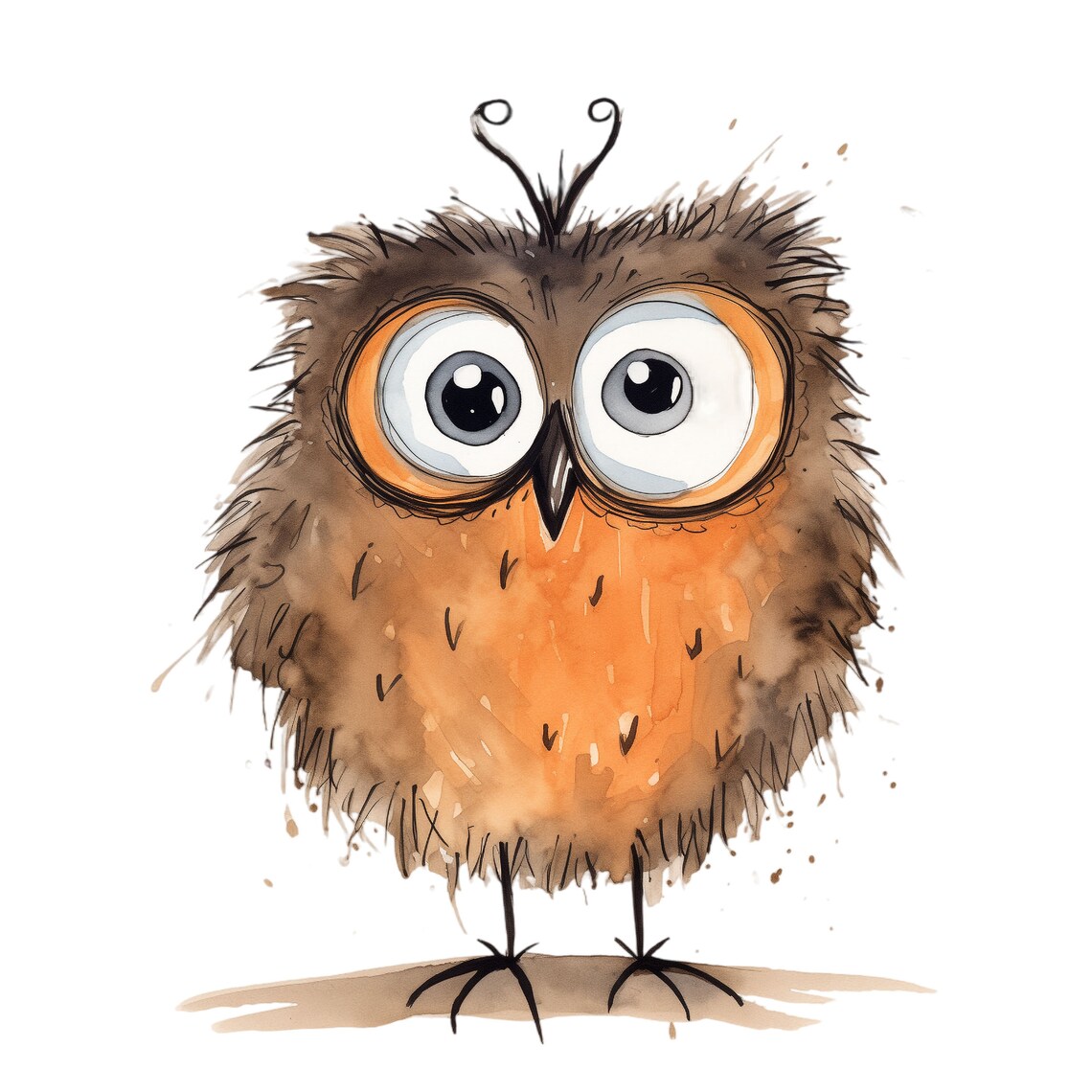 12 Scruffy Owls Clipart, High Quality Designs, 12 Pngs, Cute Funny Bird ...