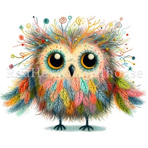 Scruffy Owl Clipart, 14 High Quality Pngs/jpgs, Colourful Owl Images ...