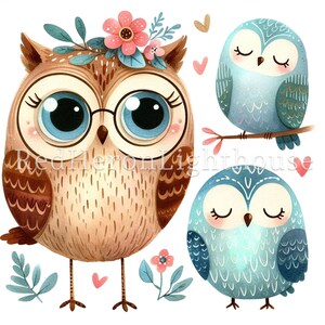 Cute Owl Clipart Set, 16 High Quality Pngs/jpgs, Whimsical Bird Clipart ...