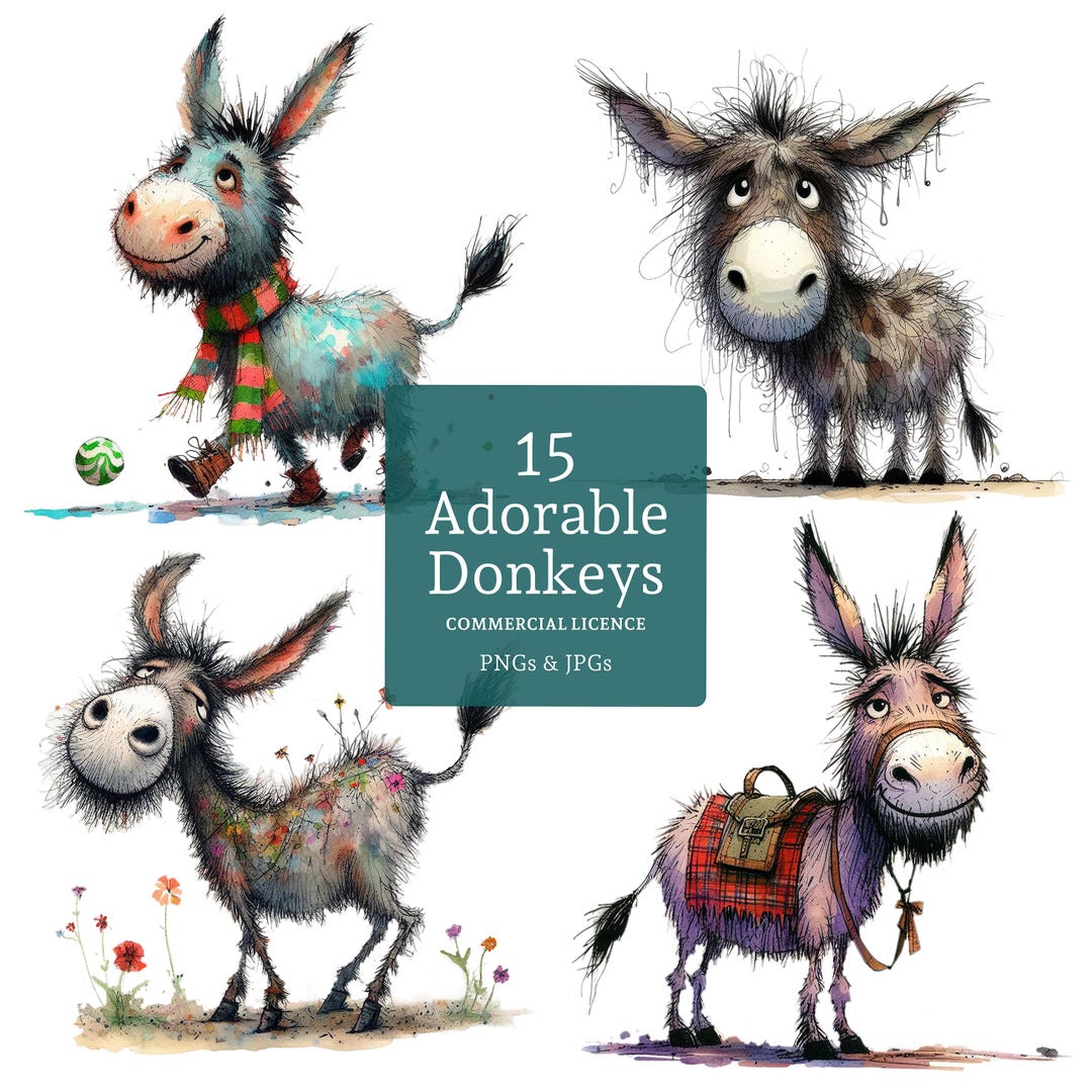 Adorable Donkey Clipart, High Quality Designs, 15 Pngs/jpegs, Cute ...