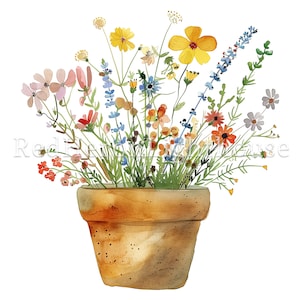 Whimsical Flower Pot Clipart 12 High Quality Pngs/jpgs Watercolour ...