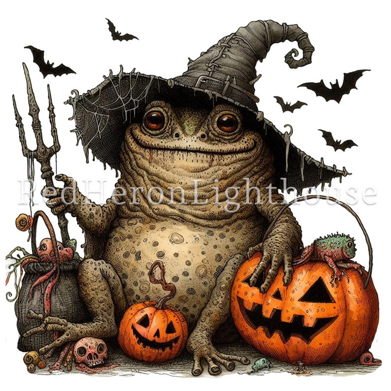 Halloween Toad Clipart, 15 Whimsical Witch Frog Pngs/jpgs Funny ...