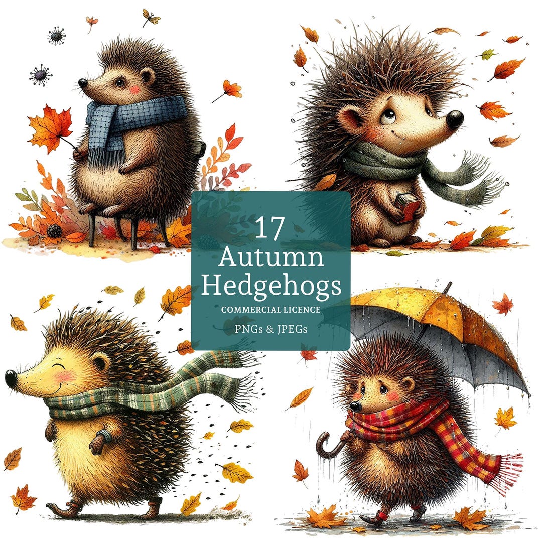 Autumn Hedgehog Clipart 17 High Quality Quirky Fall Woodland Animal ...