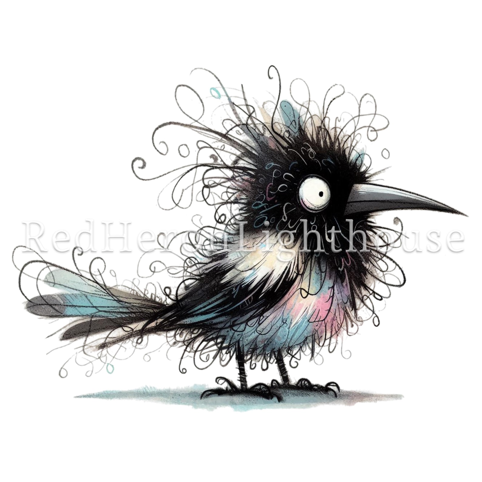 Scruffy Magpie Clipart, 12 High Quality Pngs/jpgs, Quirky Bird Images ...