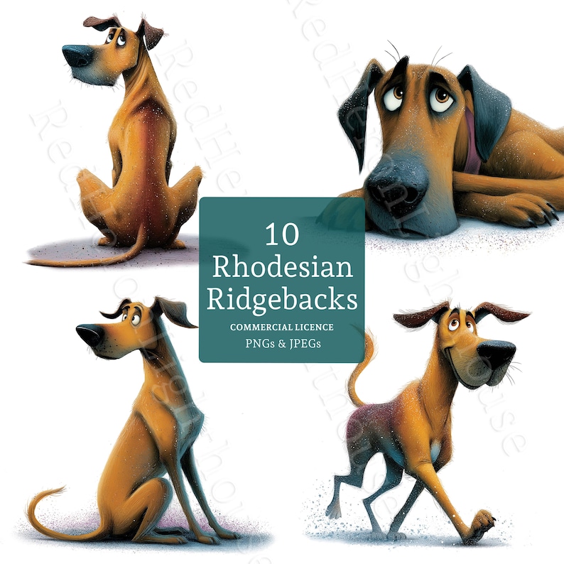 Rhodesian Ridgeback Clip Art, 10 Watercolour Quirky Dog Breed Pngs/jpgs ...