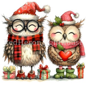 Christmas Owl Clipart, 17 High Quality Pngs/jpgs, Festive Owl Images ...