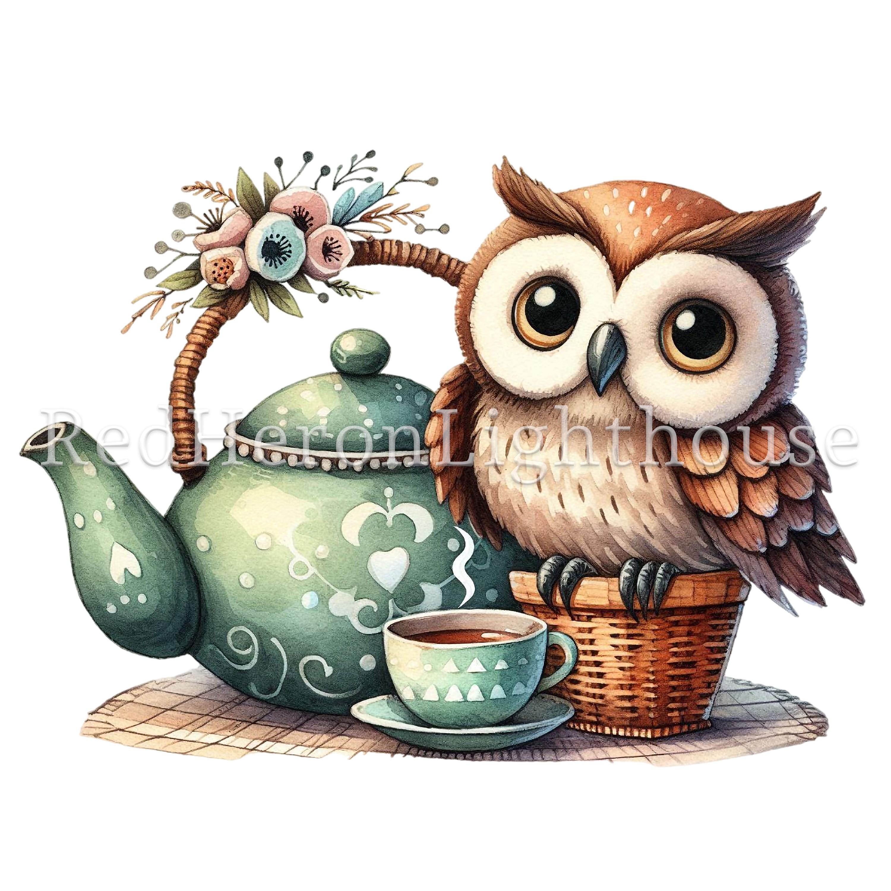 Cute Owl Clipart Set, 16 High Quality Pngs/jpgs, Whimsical Bird Clipart ...