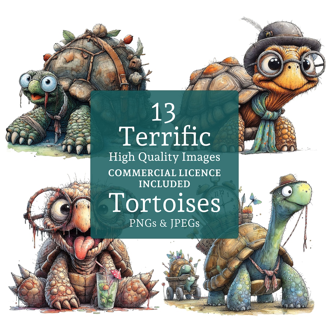 Funny Tortoises Clipart Set, 13 Pngs/jpgs, Quirky Tortoises, Cute Pet ...