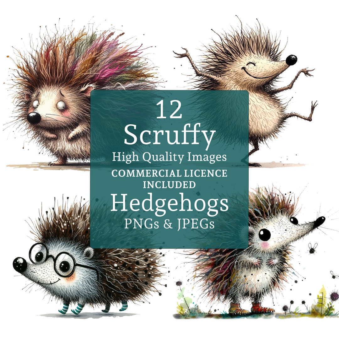 12 Scruffy Hedgehogs Clipart Bundle, High Quality 12 Pngs and Jpegs ...
