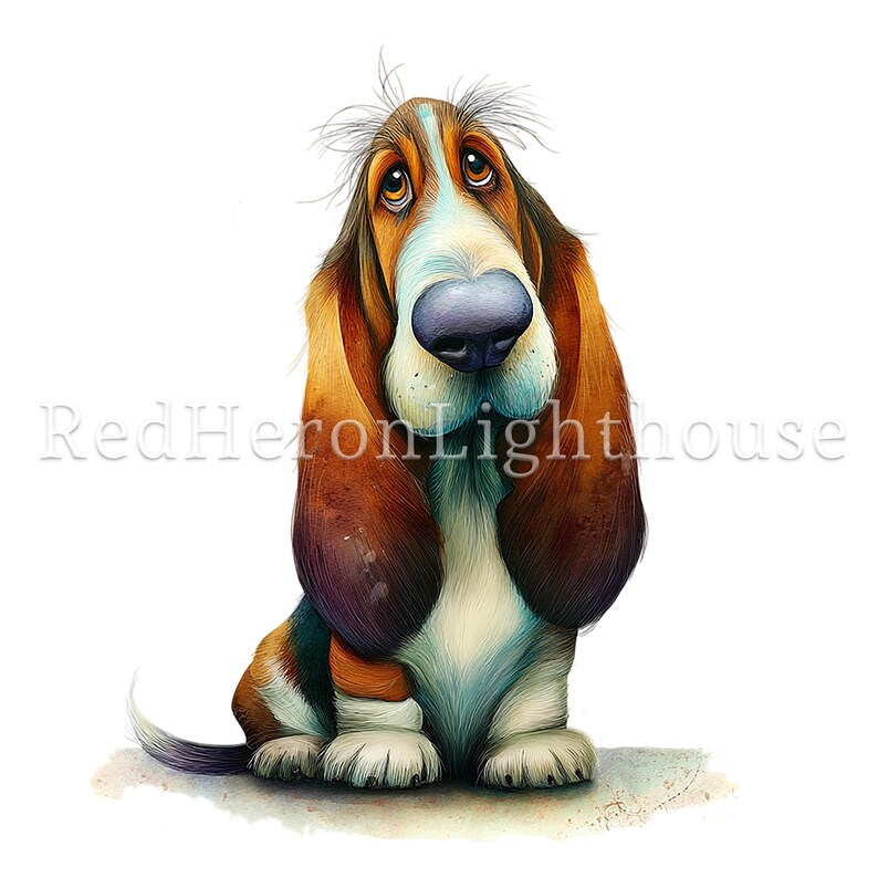 Basset Hound Clipart, 13 High Quality Pngs/jpgs, Watercolour Quirky Dog ...