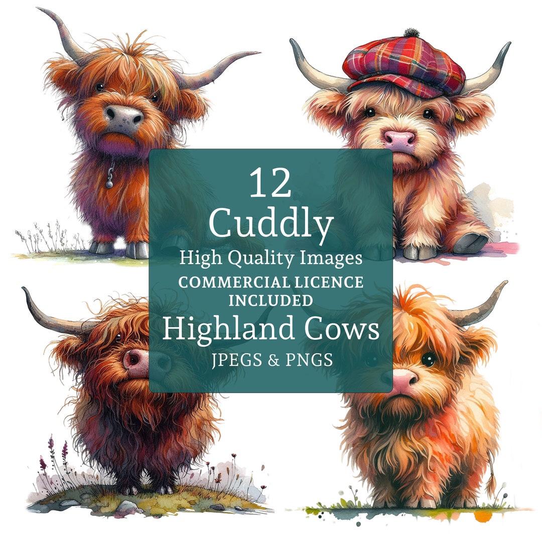 12 Cuddly Highland Cows Clipart Set, High Quality Designs, 12 Pngs/jpgs ...