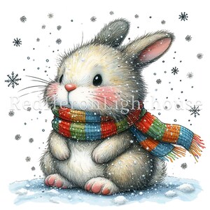 Winter Bunny Clipart, High Quality 25 Pngs/jpgs, Cute Baby Animal ...