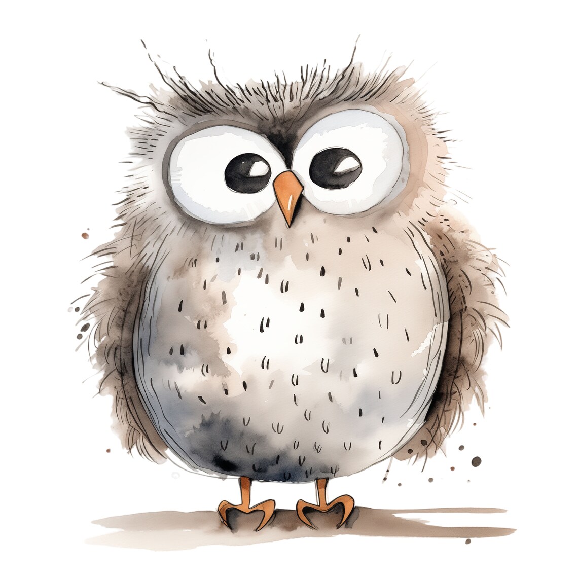 12 Scruffy Owls Clipart, High Quality Designs, 12 Pngs, Cute Funny Bird ...