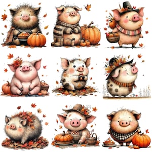 Thanksgiving Pigs Clipart 18 Pngs/jpgs, Autumn Pigs, Harvest Clipart ...