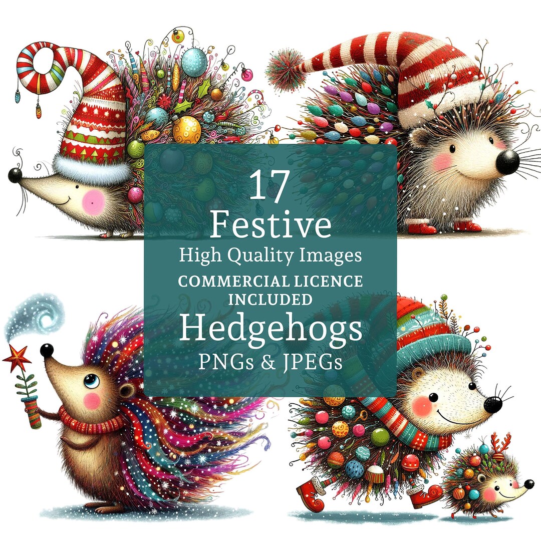 Christmas Hedgehog Clipart 17 Pngs/jpgs, Cute Festive Hedgehog Clipart ...