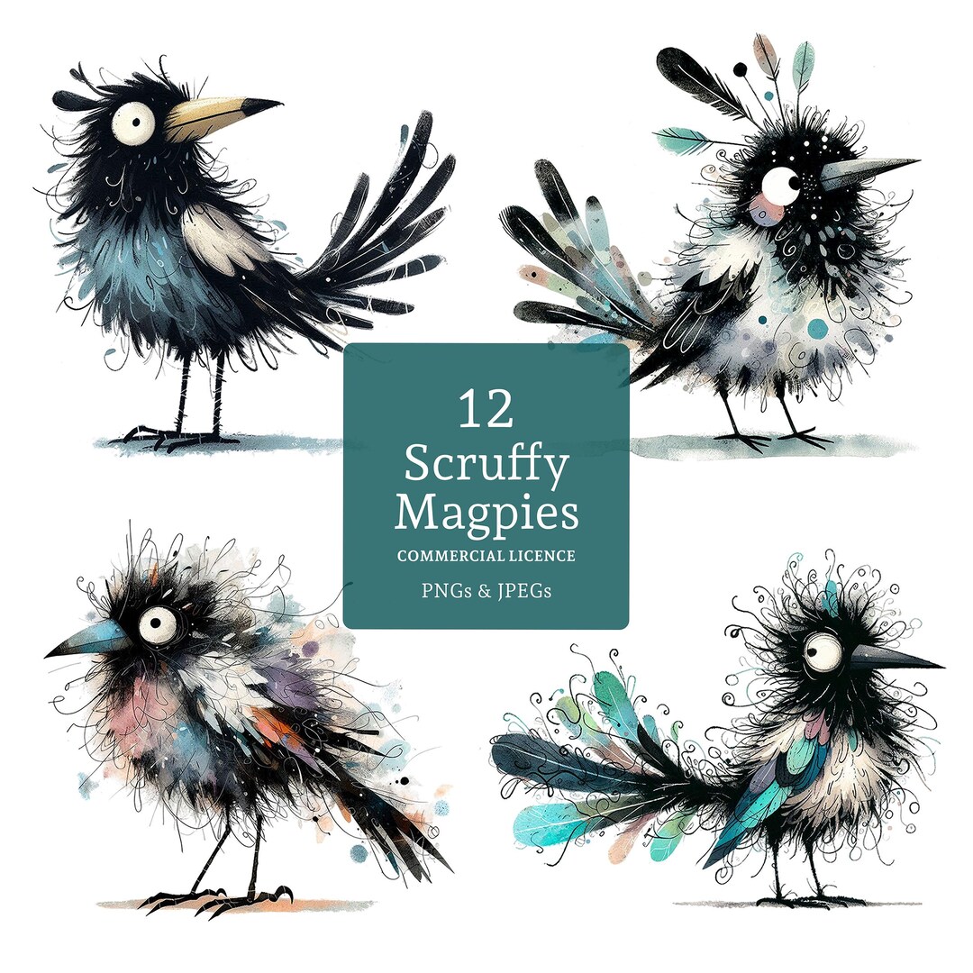 Scruffy Magpie Clipart, 12 High Quality Pngs/jpgs, Quirky Bird Images ...