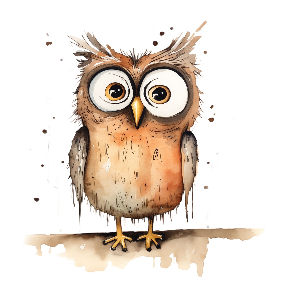 12 Scruffy Owls Clipart, High Quality Designs, 12 Pngs, Cute Funny Bird ...
