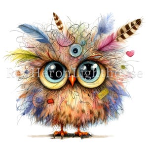 Scruffy Owl Clipart, 14 High Quality Pngs/jpgs, Colourful Owl Images ...