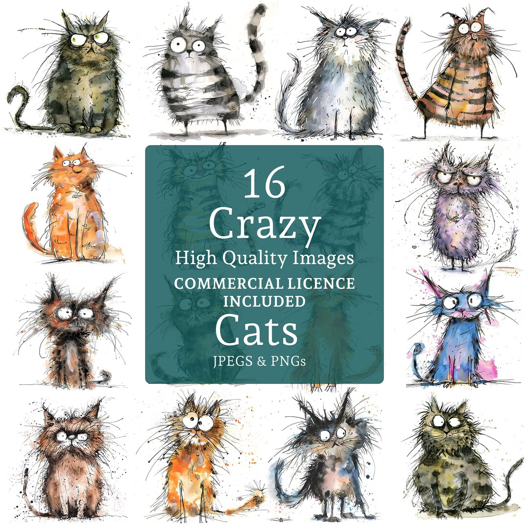 16 Crazy Cats Clipart High Quality Designs, 16 Pngs/jpgs, Funny Scruffy ...