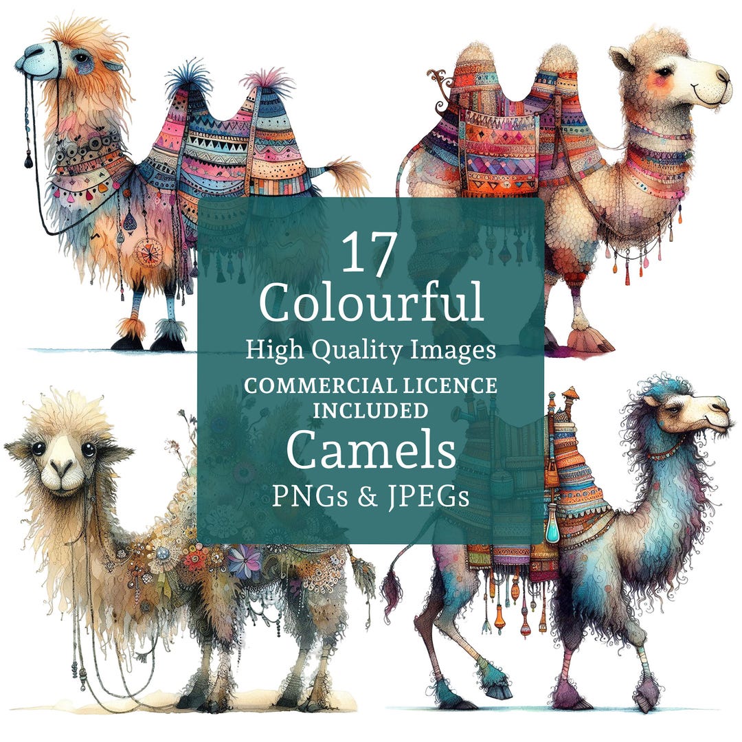 Colourful Camel Clipart, 17 Pngs/jpgs, Whimsical Summer Camel Images ...